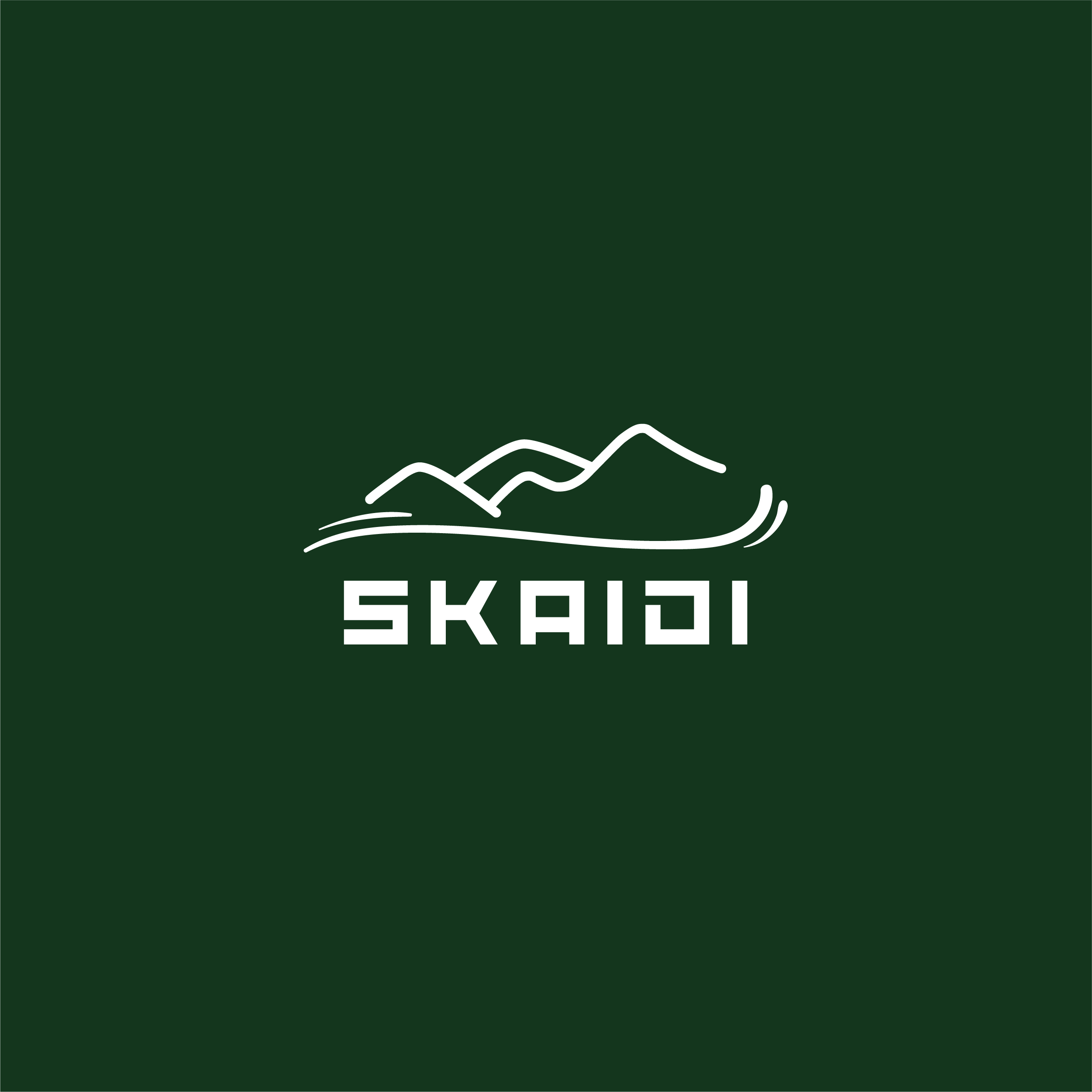 Skaidi — Skaidi Consulting